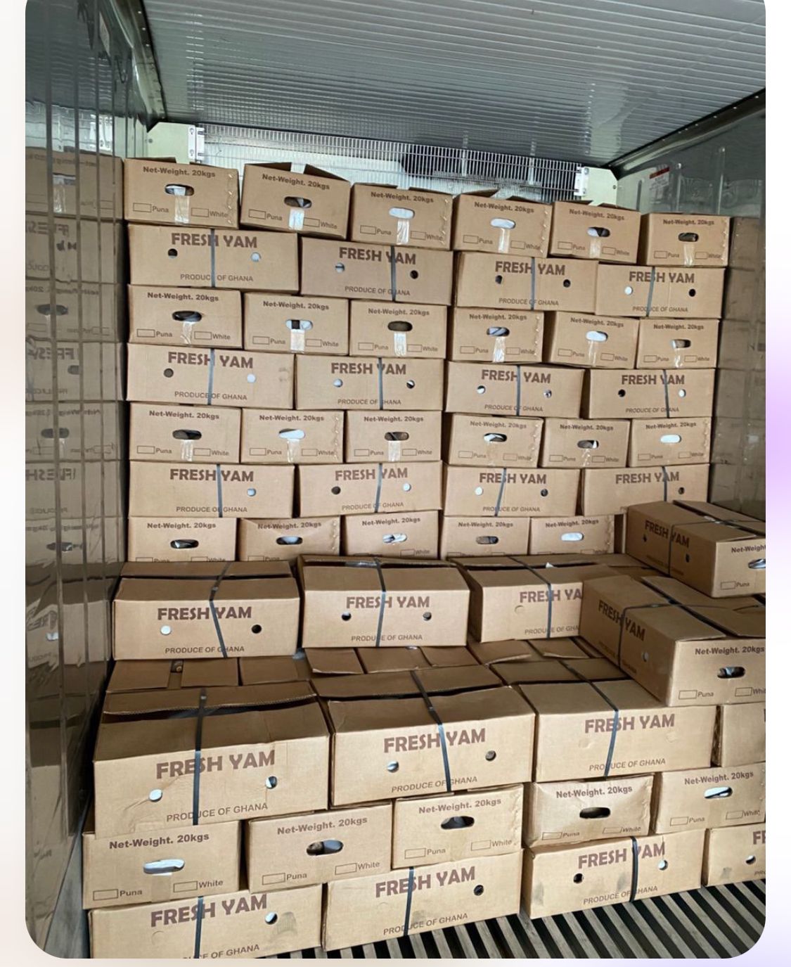 Box of Yam (20kg) – Motherlandfoodsuk